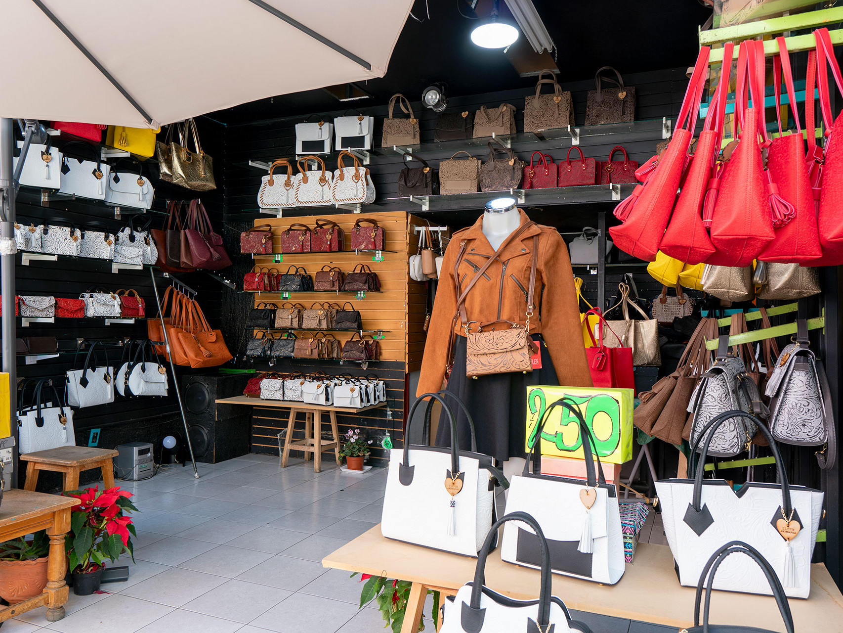 VIVA LEÓN – UNA CIUDAD VIVA Y VIBRANTE.